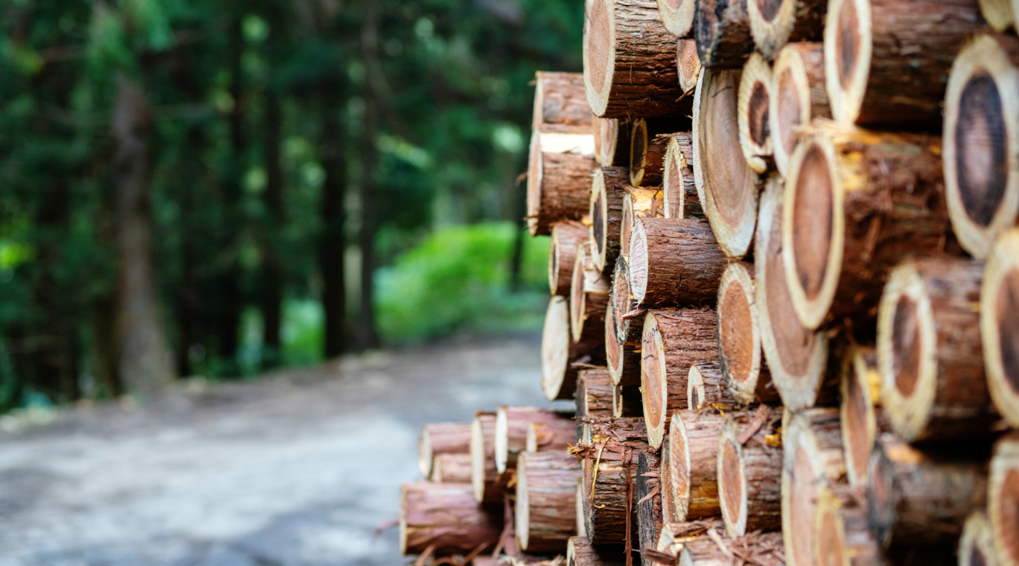 Wood preservation - Groupe Berkem