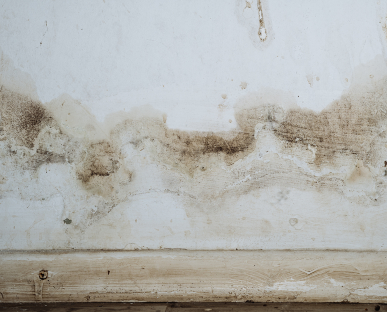 How do you effectively treat capillary rise? - Groupe Berkem