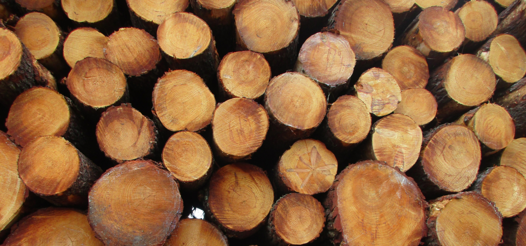 SARPALO AF 200 THM - Groupe Berkem