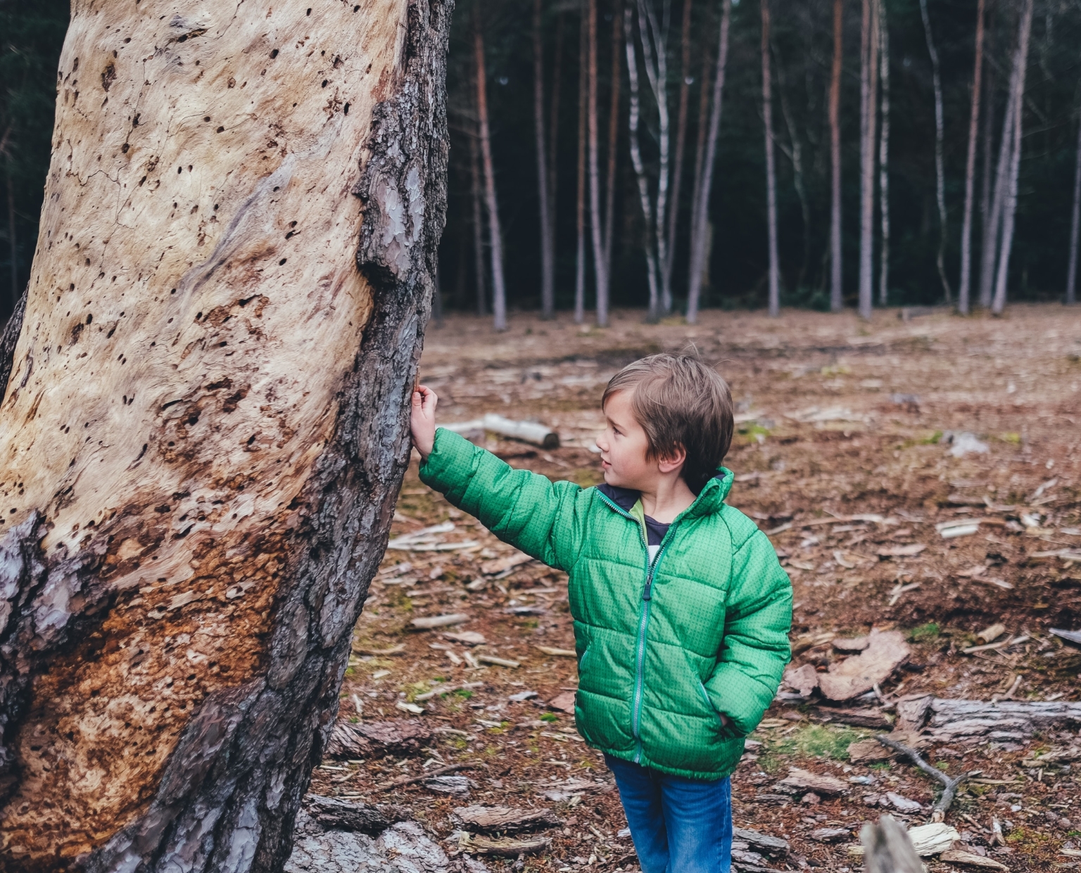 Touching wood - Groupe Berkem