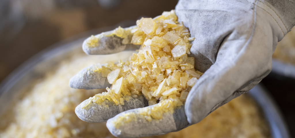 Les résines alkydes pour la peinture décorative - Groupe Berkem